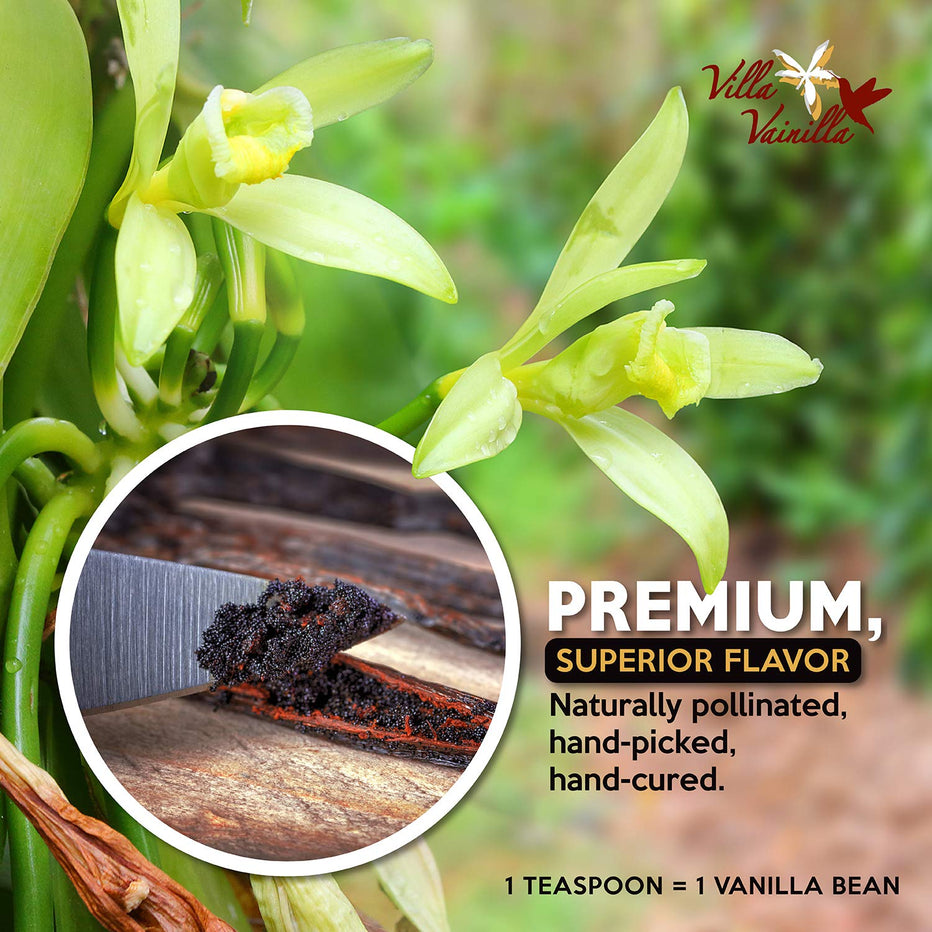 Villa Vainilla Pure Mexican Vanilla Extract 4.2 oz and Mexican Beans
